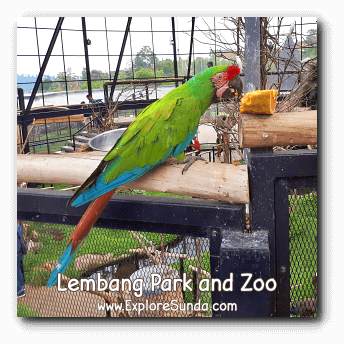 Lembang Park and Zoo | Enjoy The Best Park and Zoo in Lembang Bandung